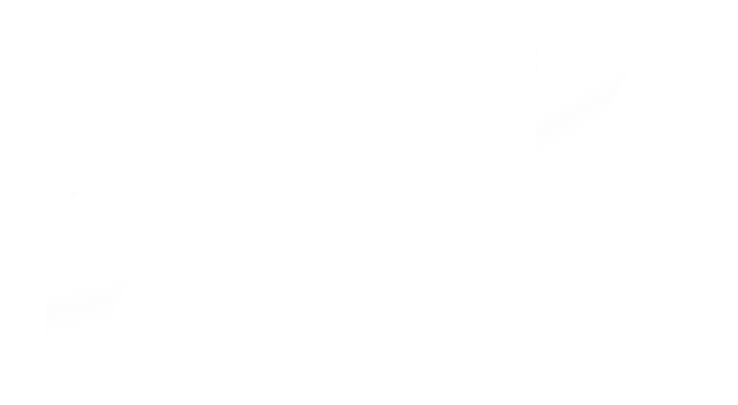 Magic Toolbox - javascript image zoom tools for your website