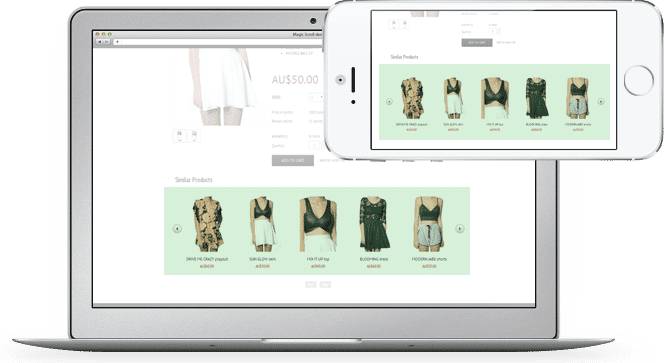 Magic Toolbox - javascript image zoom tools for your website